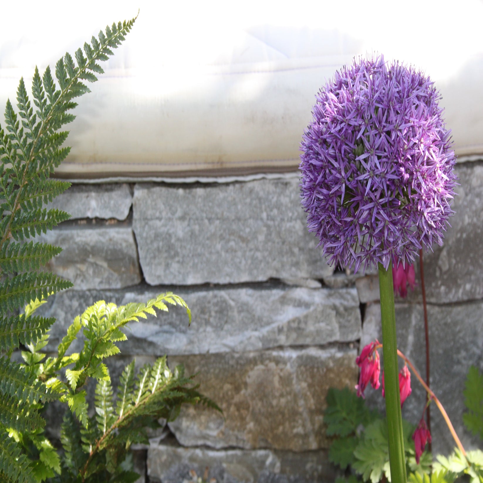 Silver Donegal Quartzite Garden Walling | McMonagle Stone